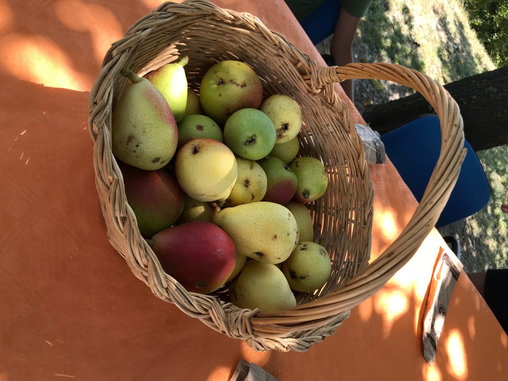 Cosa vedere a Serrungarina